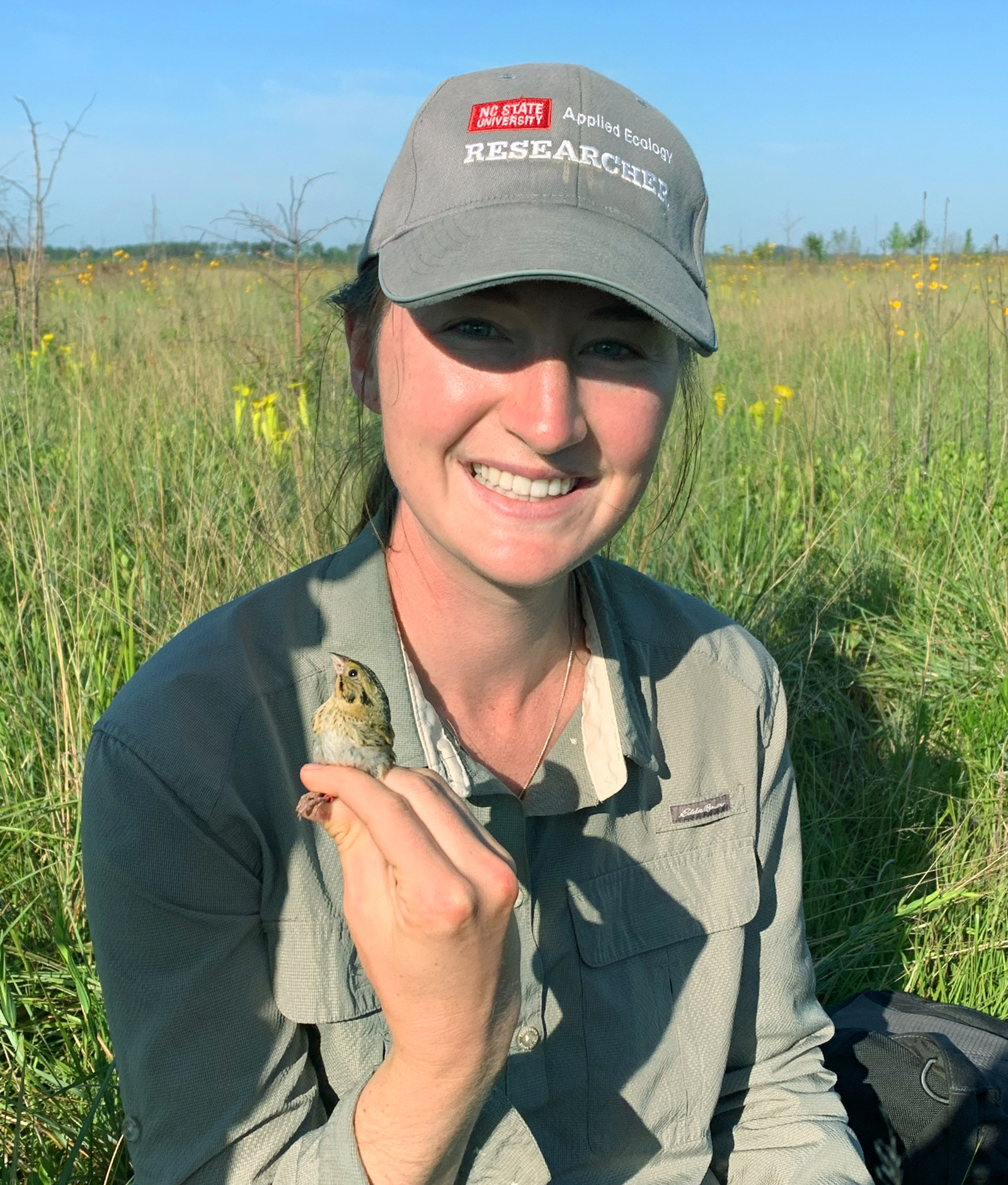 Quantitative Ecology Lab – NCSU